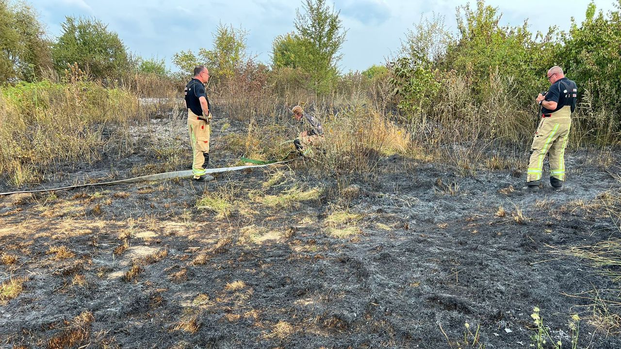 9.000 vierkante meter van berm langs Ring rond Brussel gaat in vlammen ...