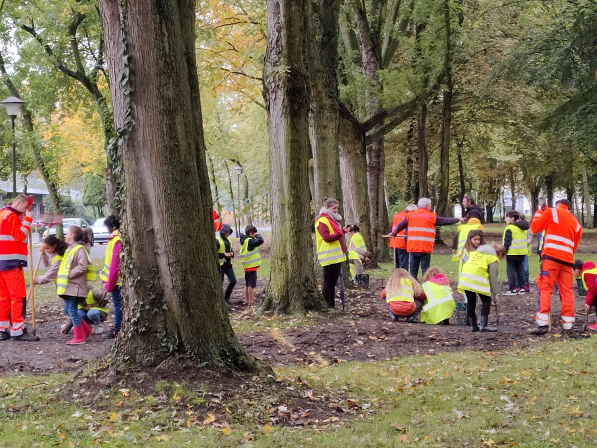 Machelen betrekt schoolkinderen bij vergroening gemeente | Ring