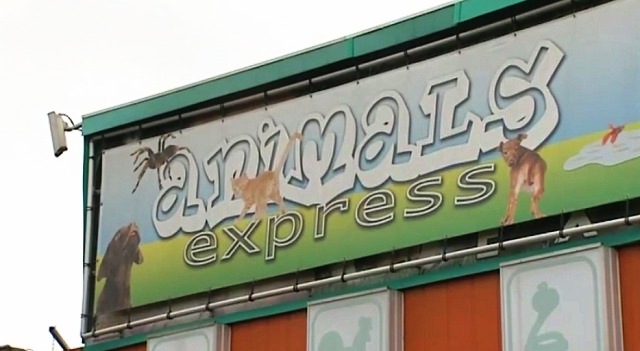 Weyts treedt niet op tegen Animals Express in Dilbeek | Ring