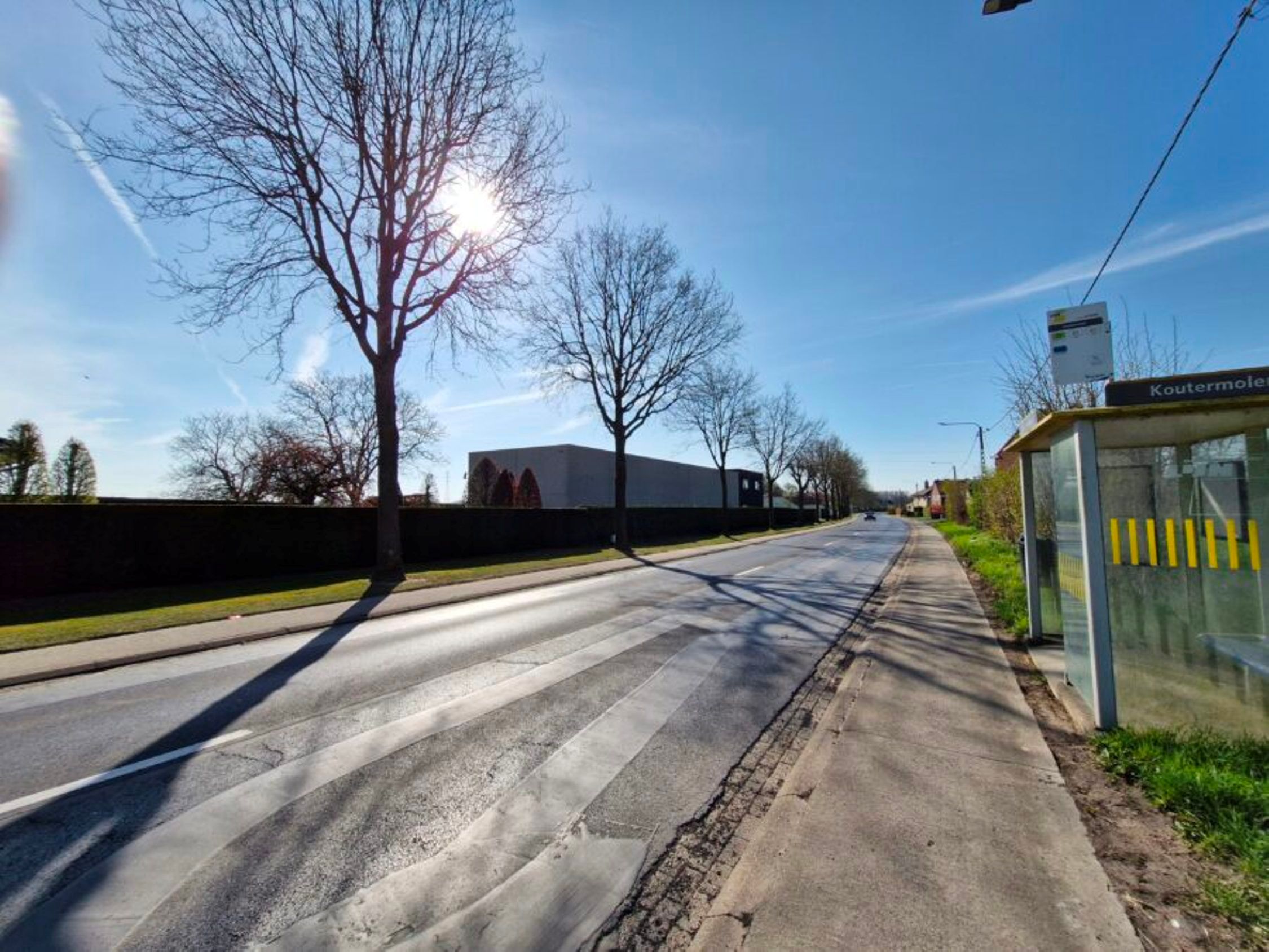 Bomen langs Kouter in Merchtem worden niet gekapt: “We riskeren ...