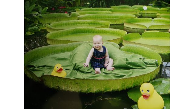 Reportage babyfoto's Plantentuin Meise geselecteerd voor De ...