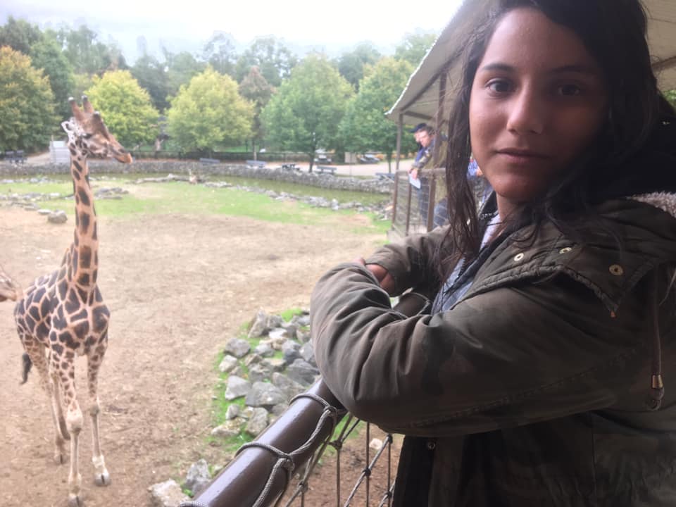 Wie heeft Yamilette gezien? | Ring