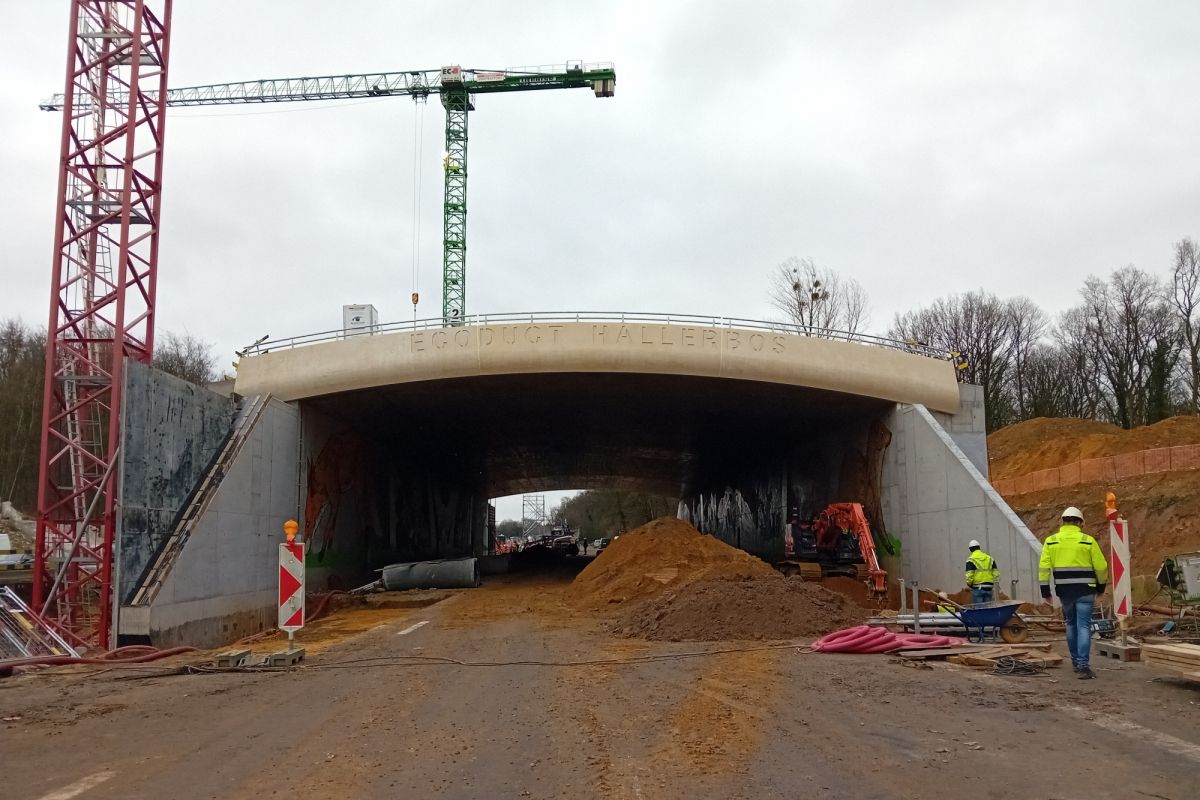 Ecoduct Hallerbos: nieuwe koker vanaf deze week in gebruik | Ring