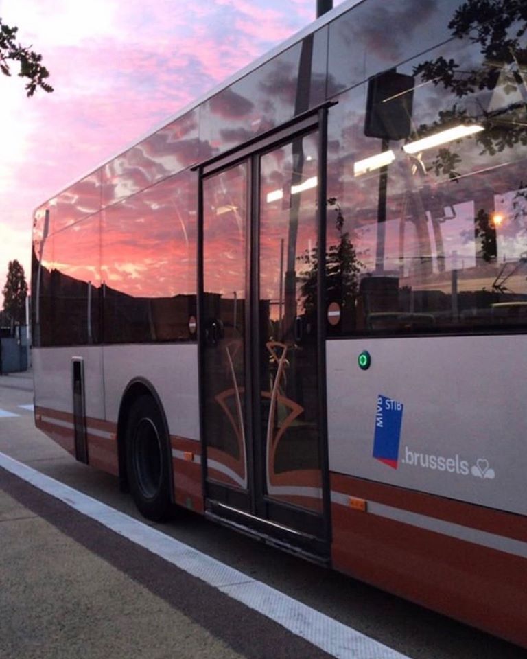 Bijna 50.000 Brupass XL-tickets verkocht in 2021 | Ring