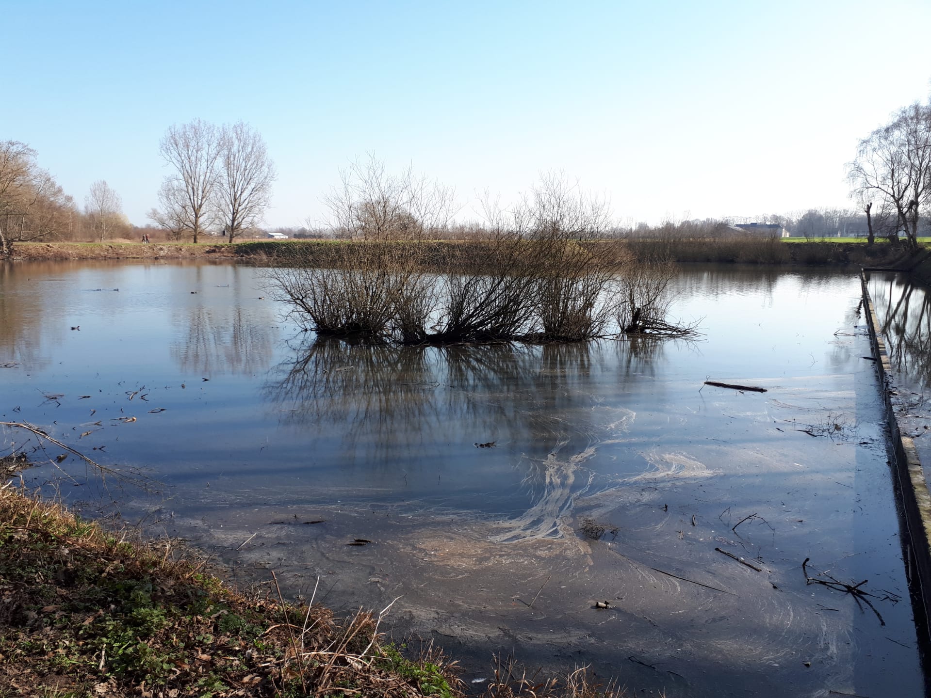 Vogelzangvijver in Melsbroek vervuild | Ring